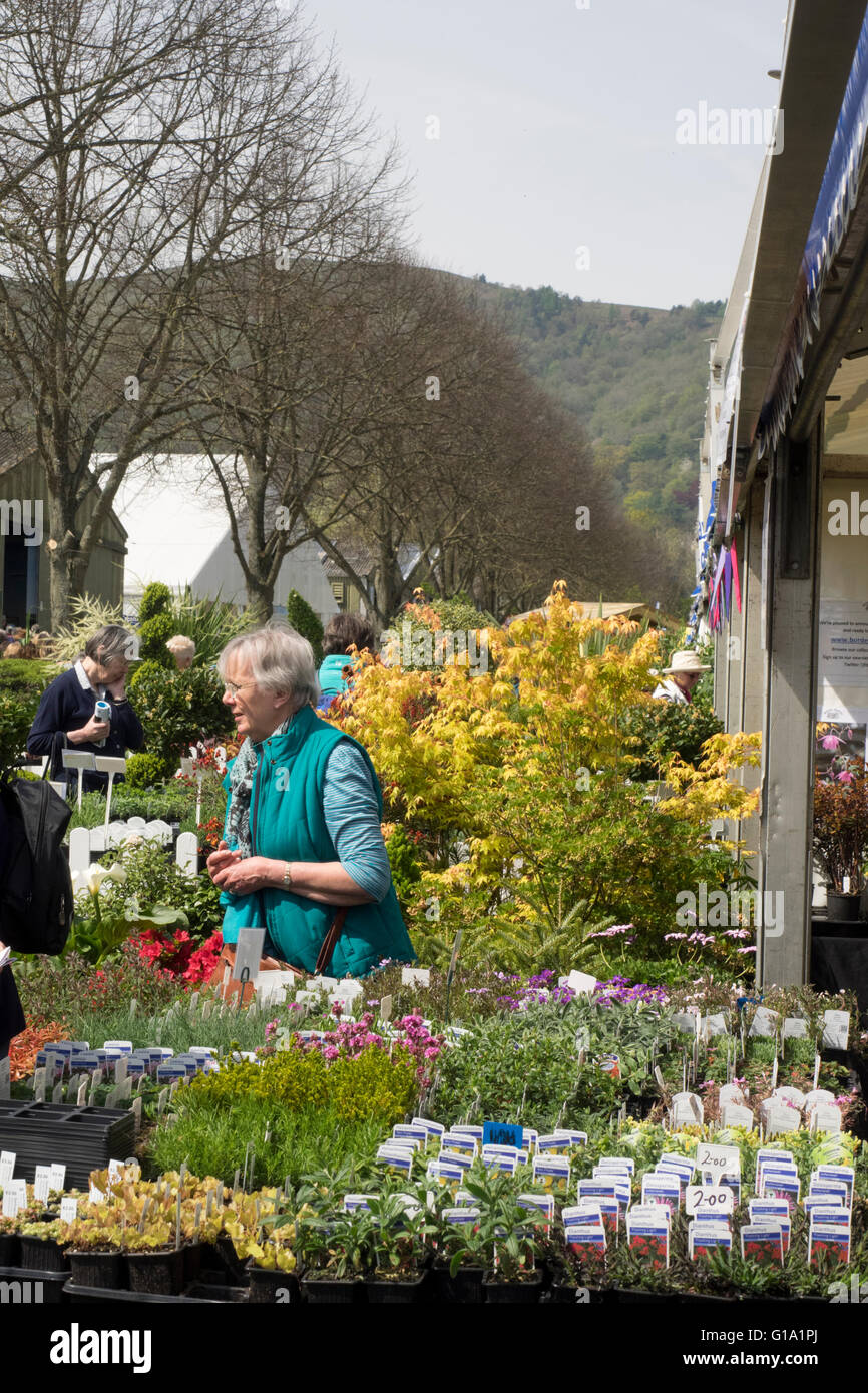 RHS Malvern Spring Show crowds enjoying he shopping Stock Photo - Alamy