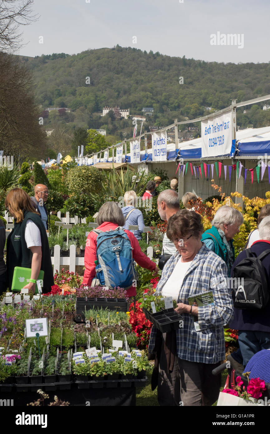RHS Malvern Spring Show crowds enjoying he shopping Stock Photo - Alamy