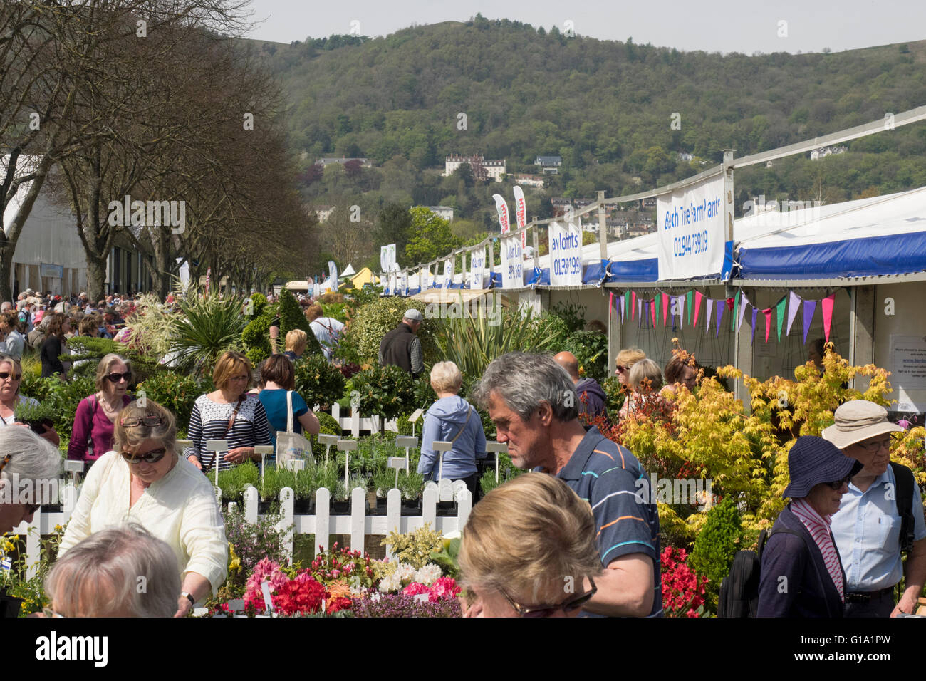 RHS Malvern Spring Show crowds enjoying he shopping Stock Photo - Alamy