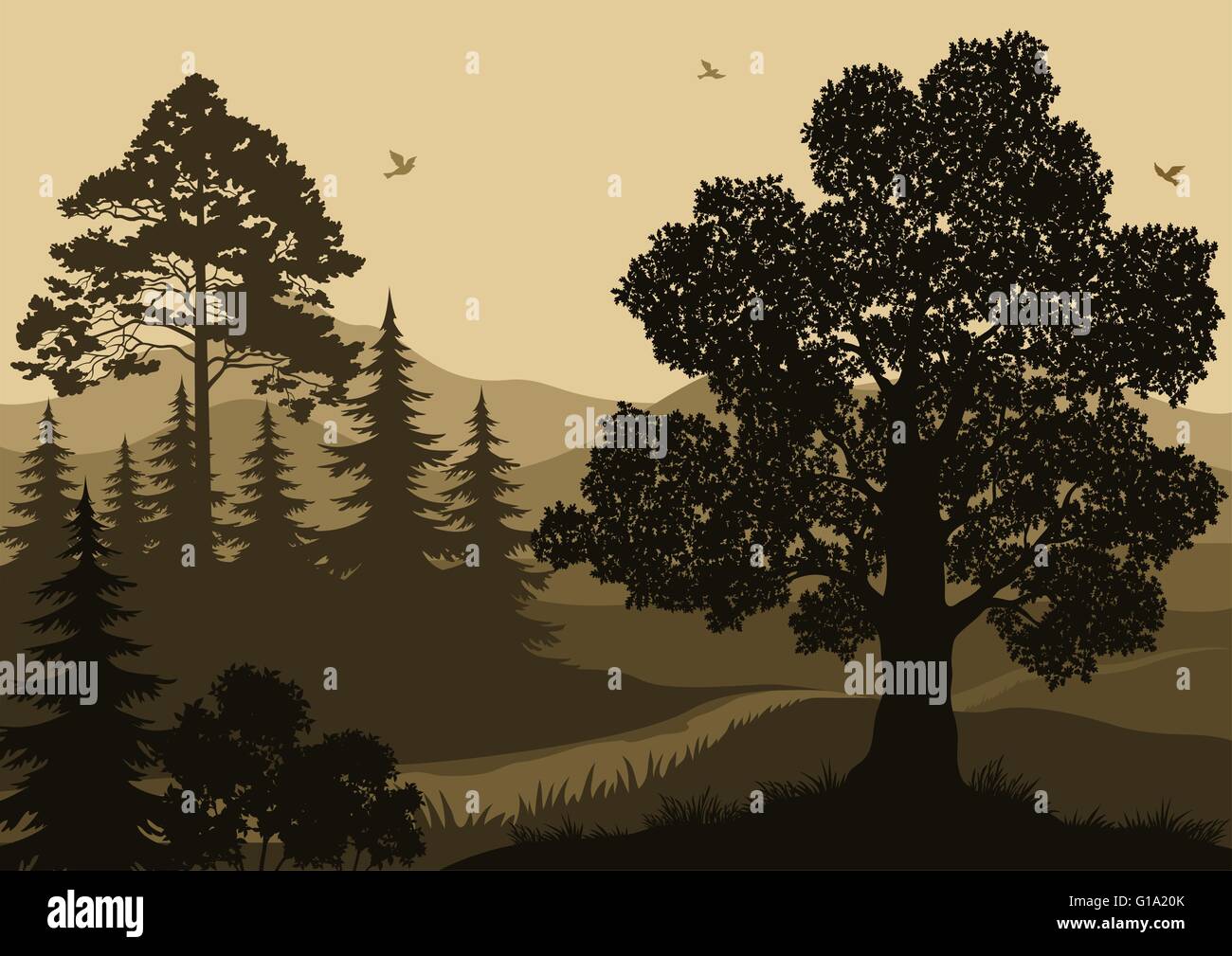 Oak trees road Stock Vector Images - Alamy