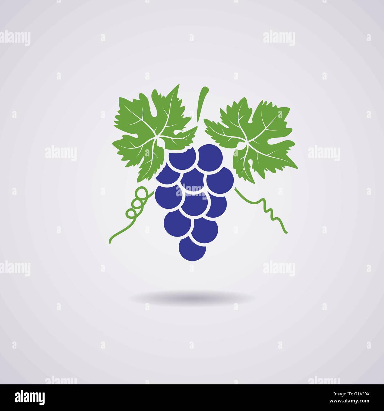 Grapes vector vectors hi-res stock photography and images - Alamy