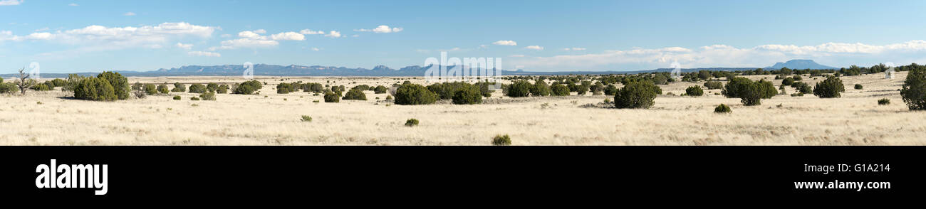 Datil mountains hi-res stock photography and images - Alamy