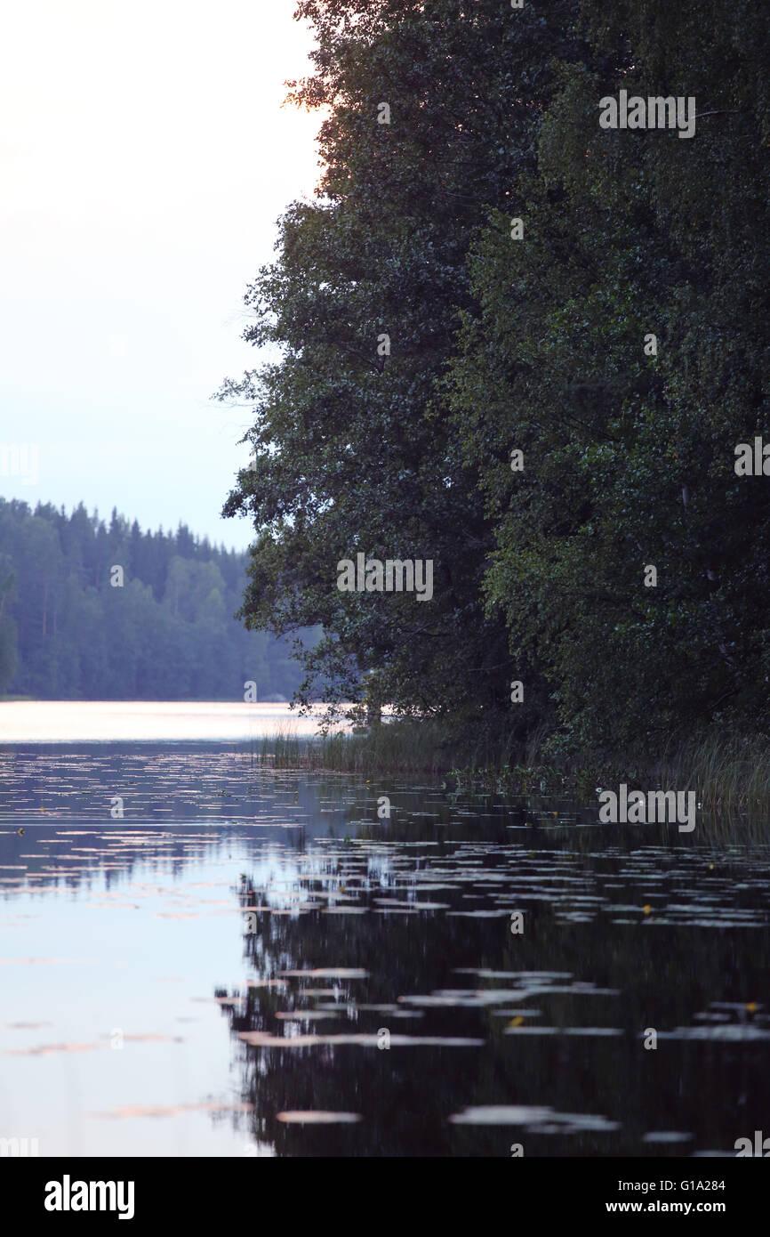 Beautiful calm landscape with lake and trees, Finland Stock Photo - Alamy