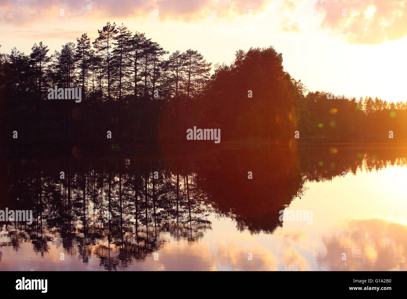 Beautiful sunset over the lake and dark forest Stock Photo - Alamy