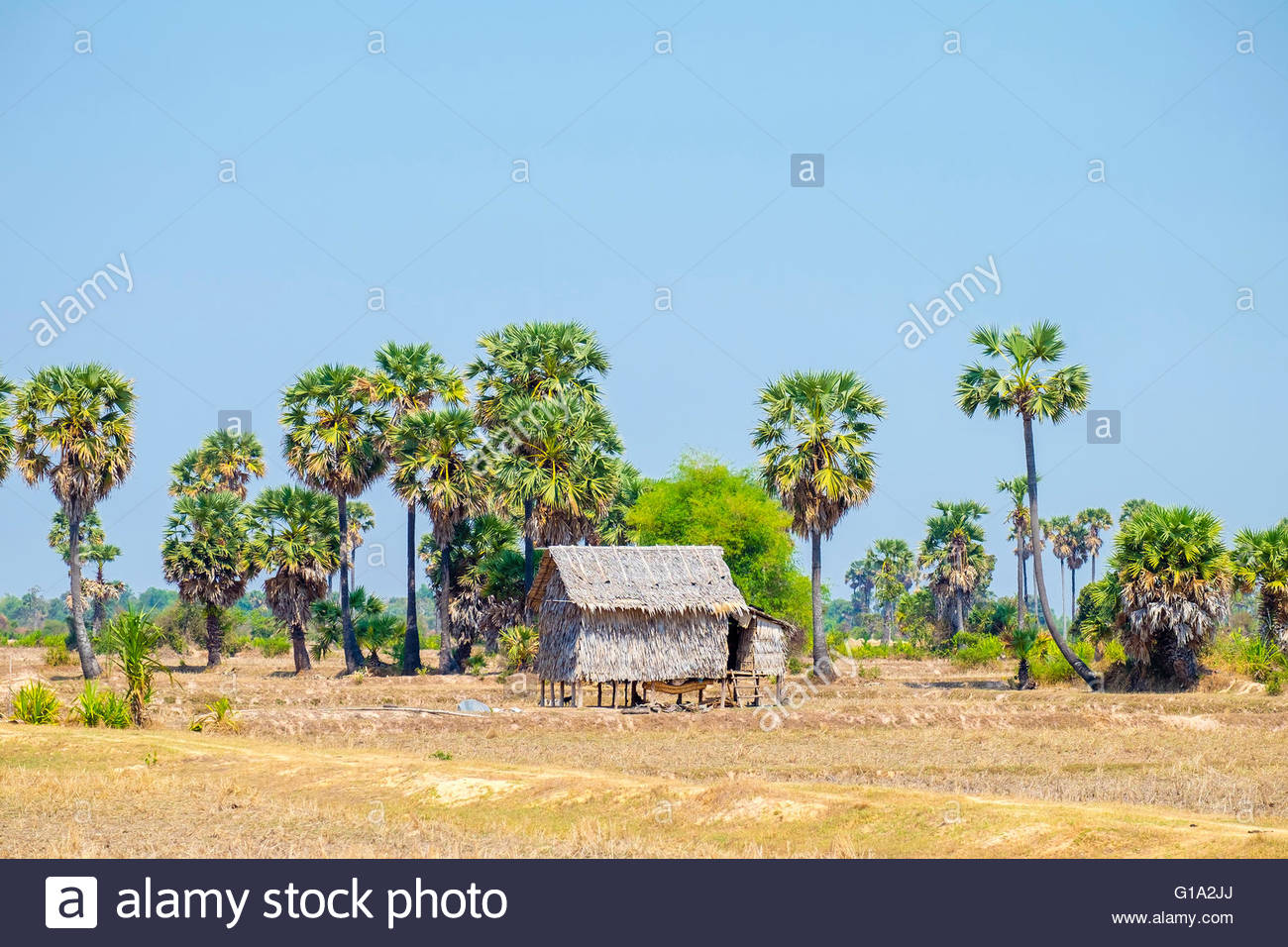 Cambodian Countryside High Resolution Stock Photography and Images - Alamy