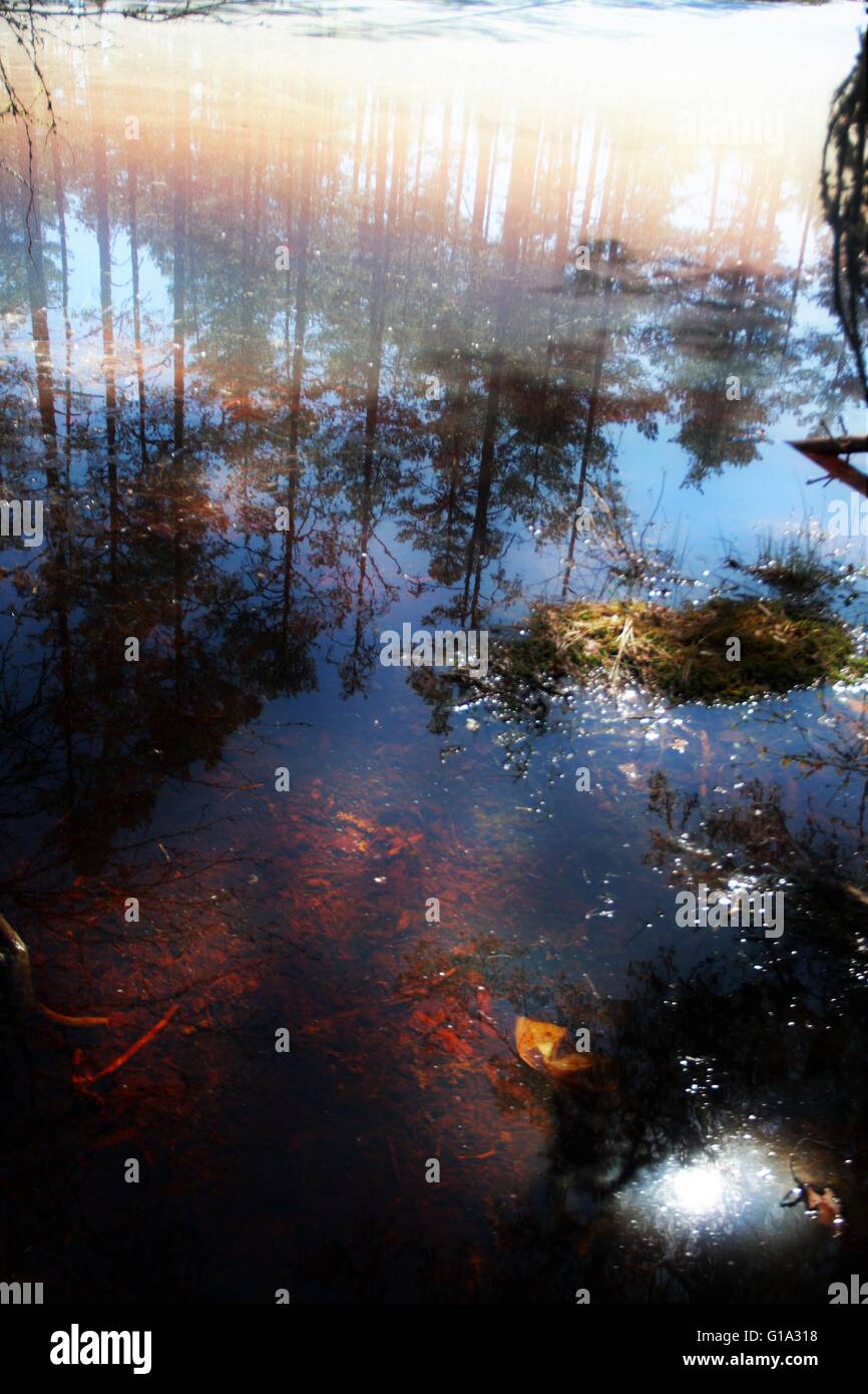 Bog art hi-res stock photography and images - Alamy