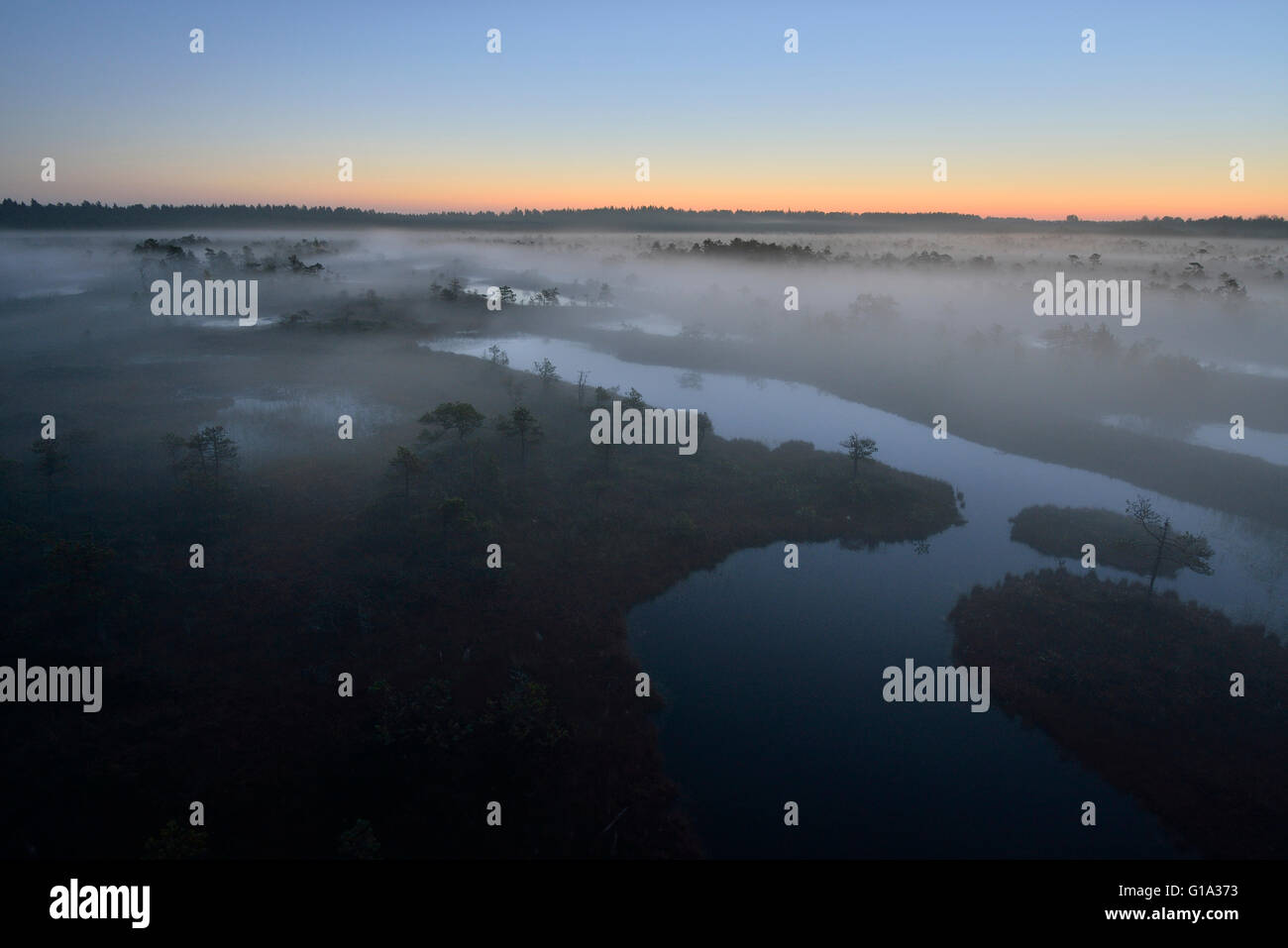 Foggy swamp dark hi-res stock photography and images - Alamy