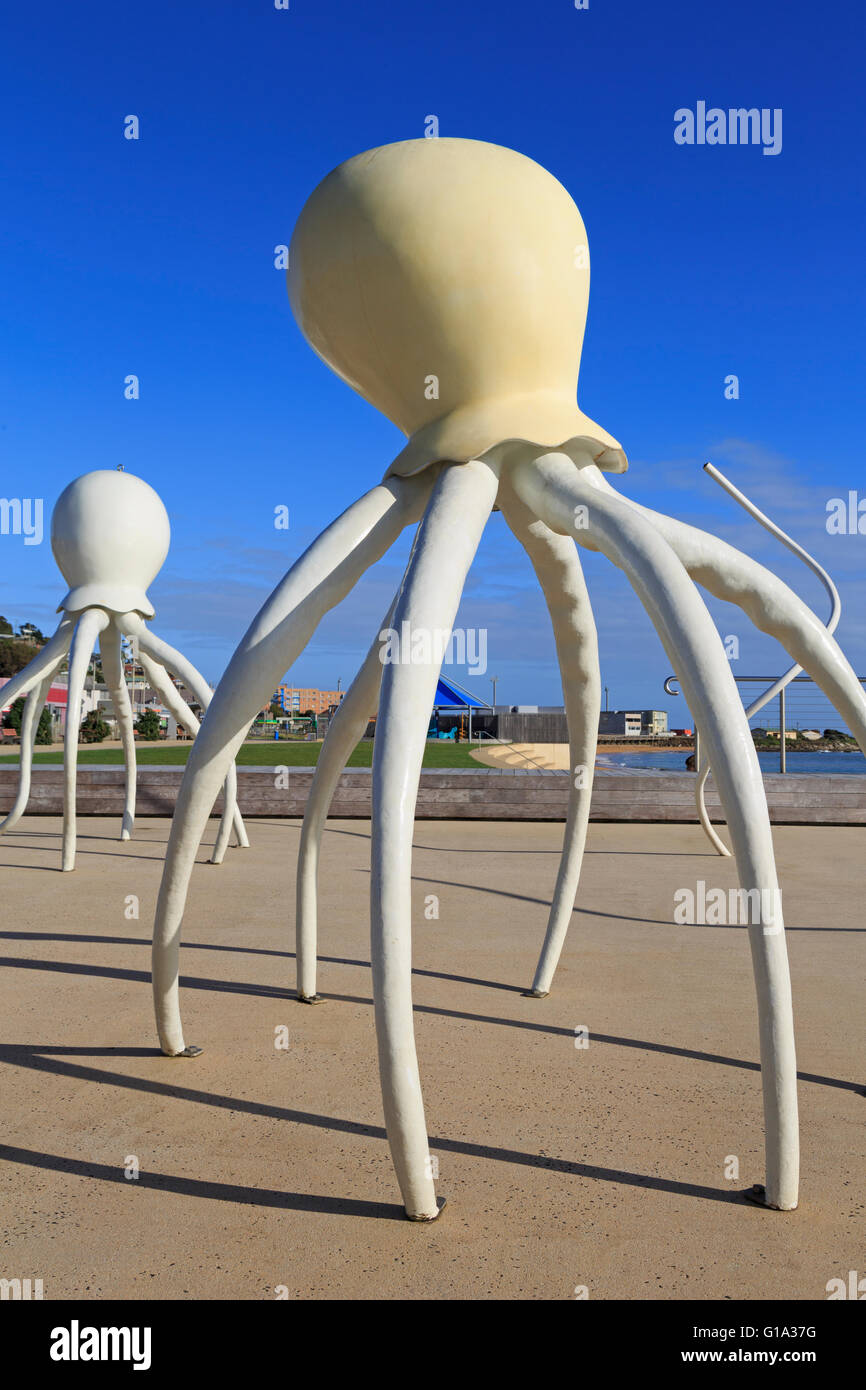 Octopus, West Beach, Burnie, Tasmania, Australia Stock Photo - Alamy