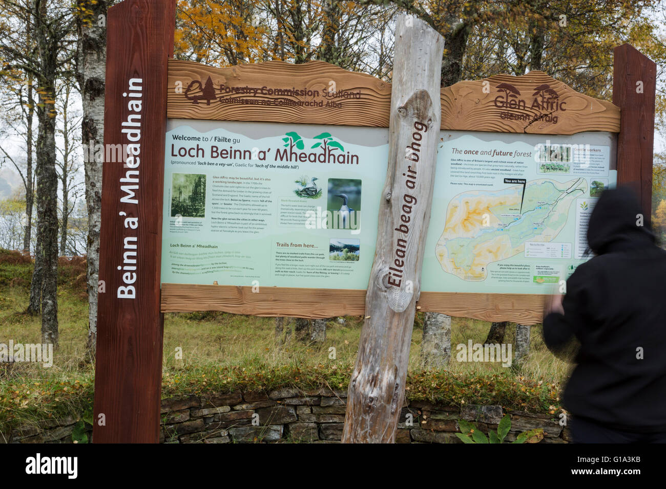 A person standing in front of a Forestry Commission Scotland public ...