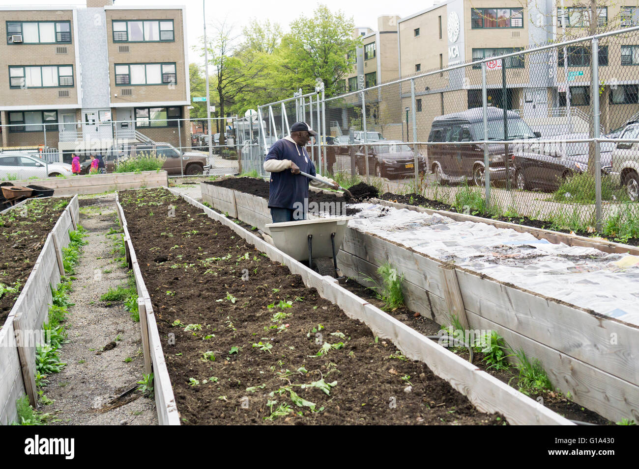 Brownsville brooklyn hi-res stock photography and images - Alamy