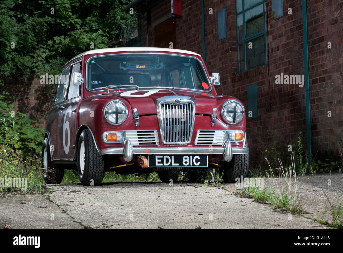 Riley elf hi-res stock photography and images - Alamy