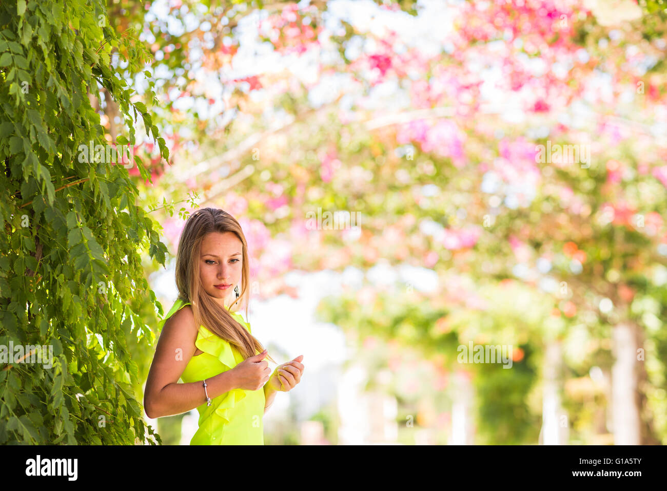Beautiful woman at the park in summer Stock Photo - Alamy