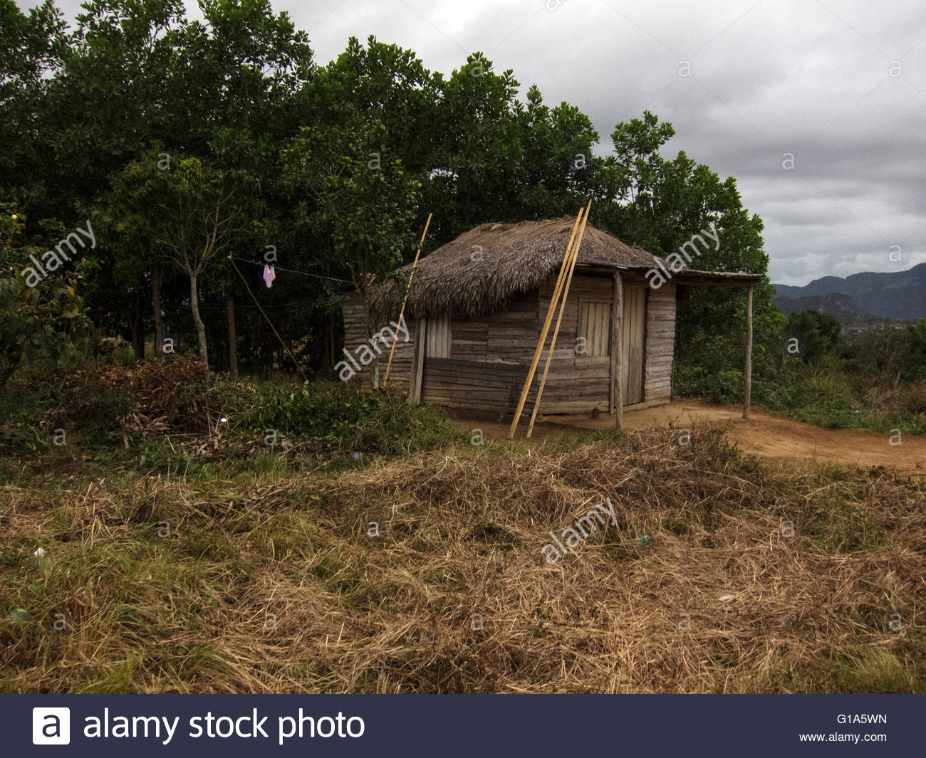 Bohio High Resolution Stock Photography and Images - Alamy