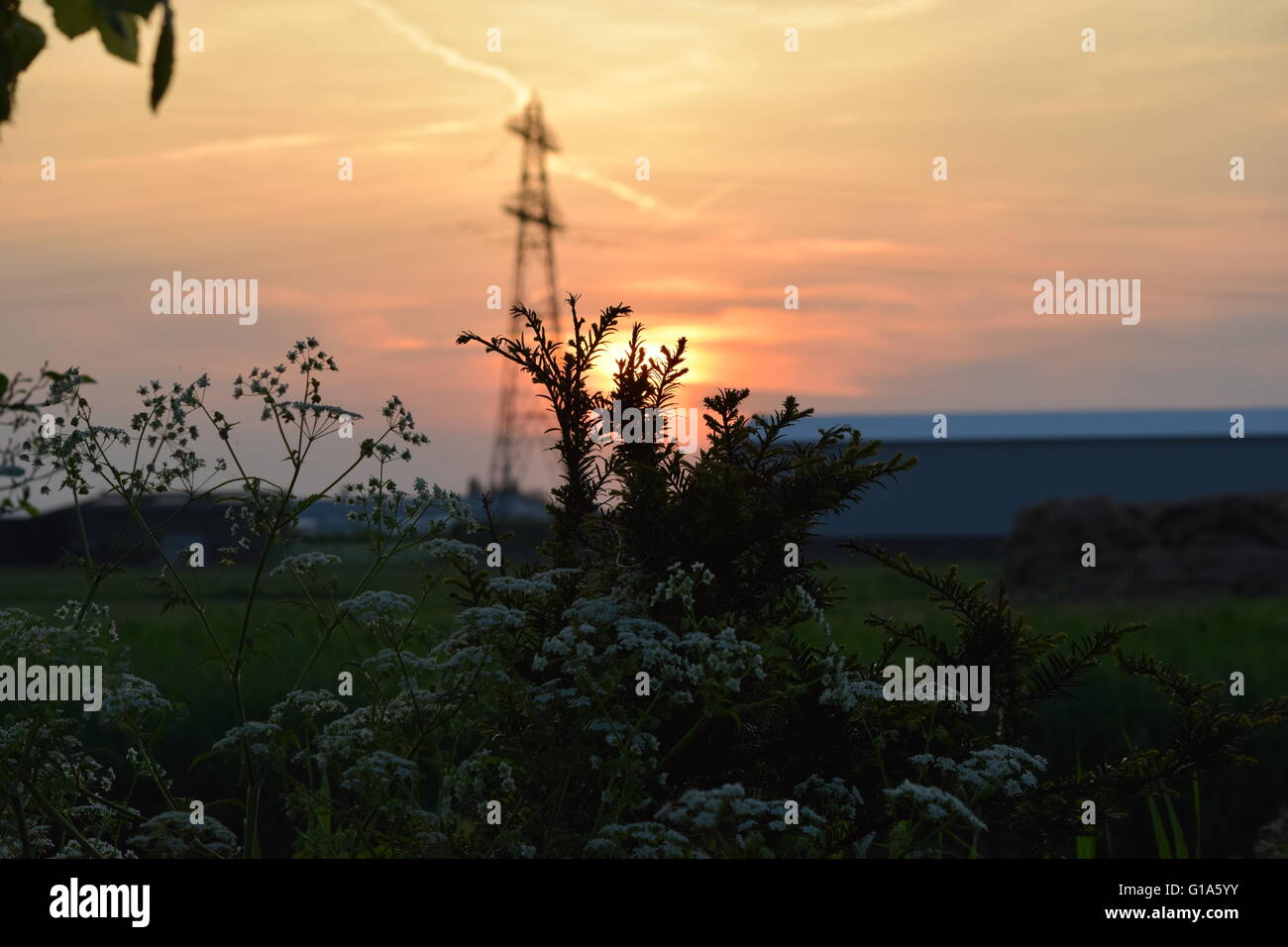 Red fire sunset hi-res stock photography and images - Alamy