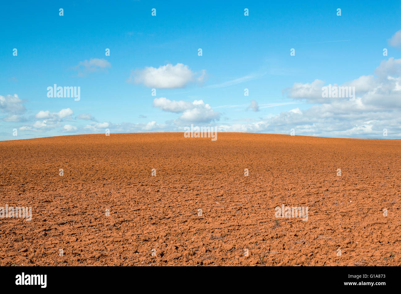 Blue an brown Stock Photo - Alamy