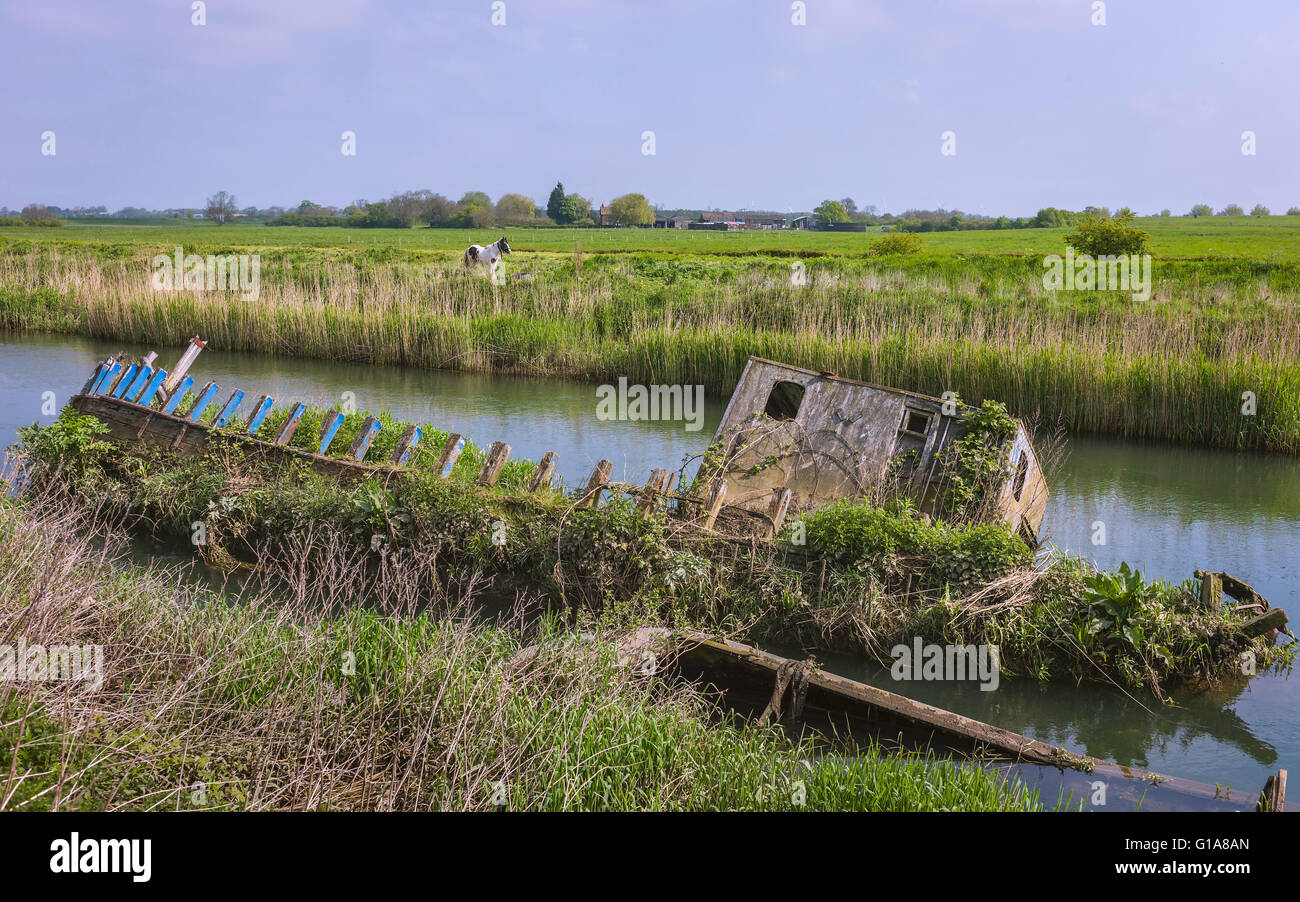 Capsized, derelict wooden boat along the river Hull partly blocking the ...