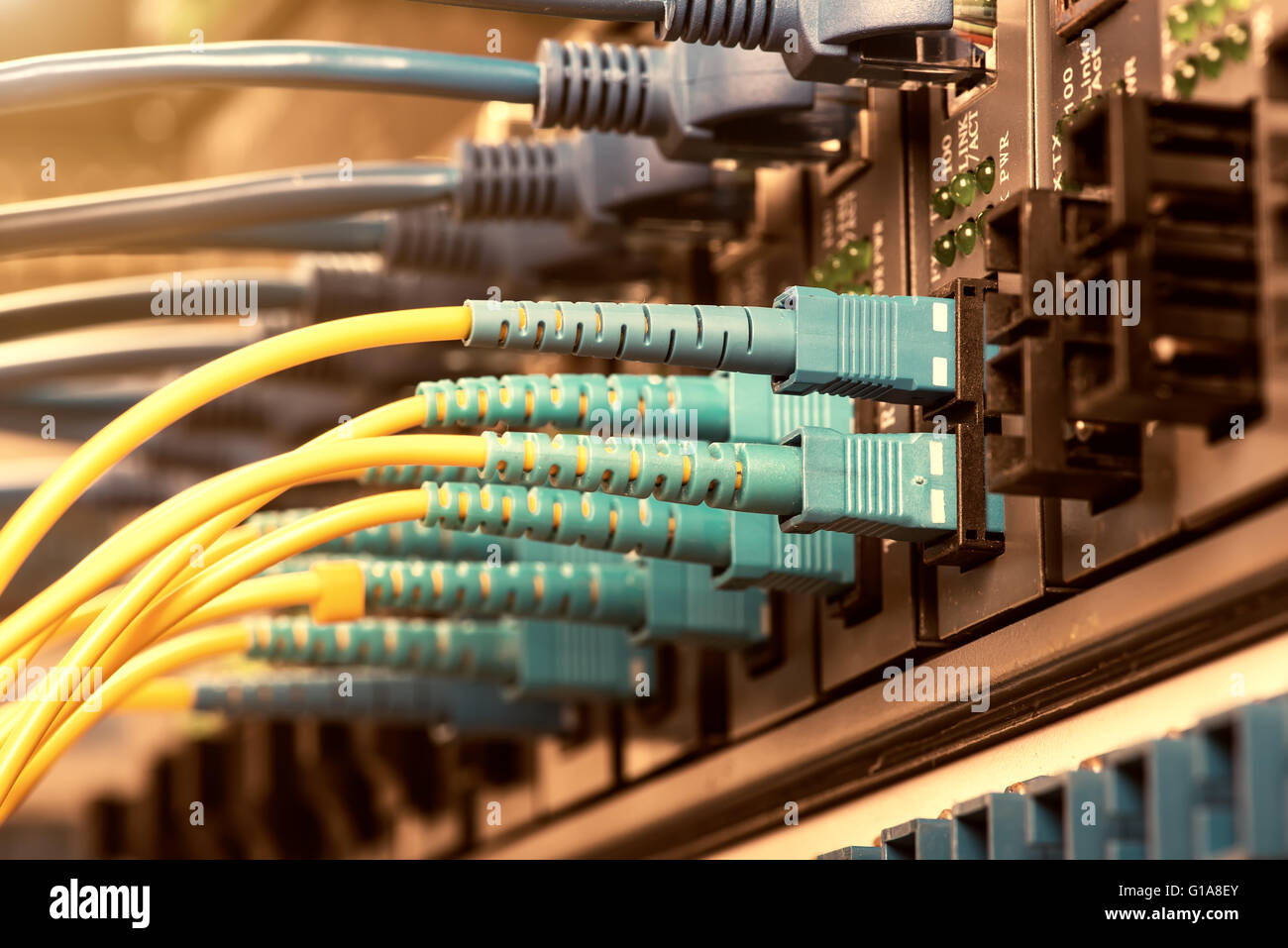Fiber Optic cables connected to an optic ports and Network cables ...