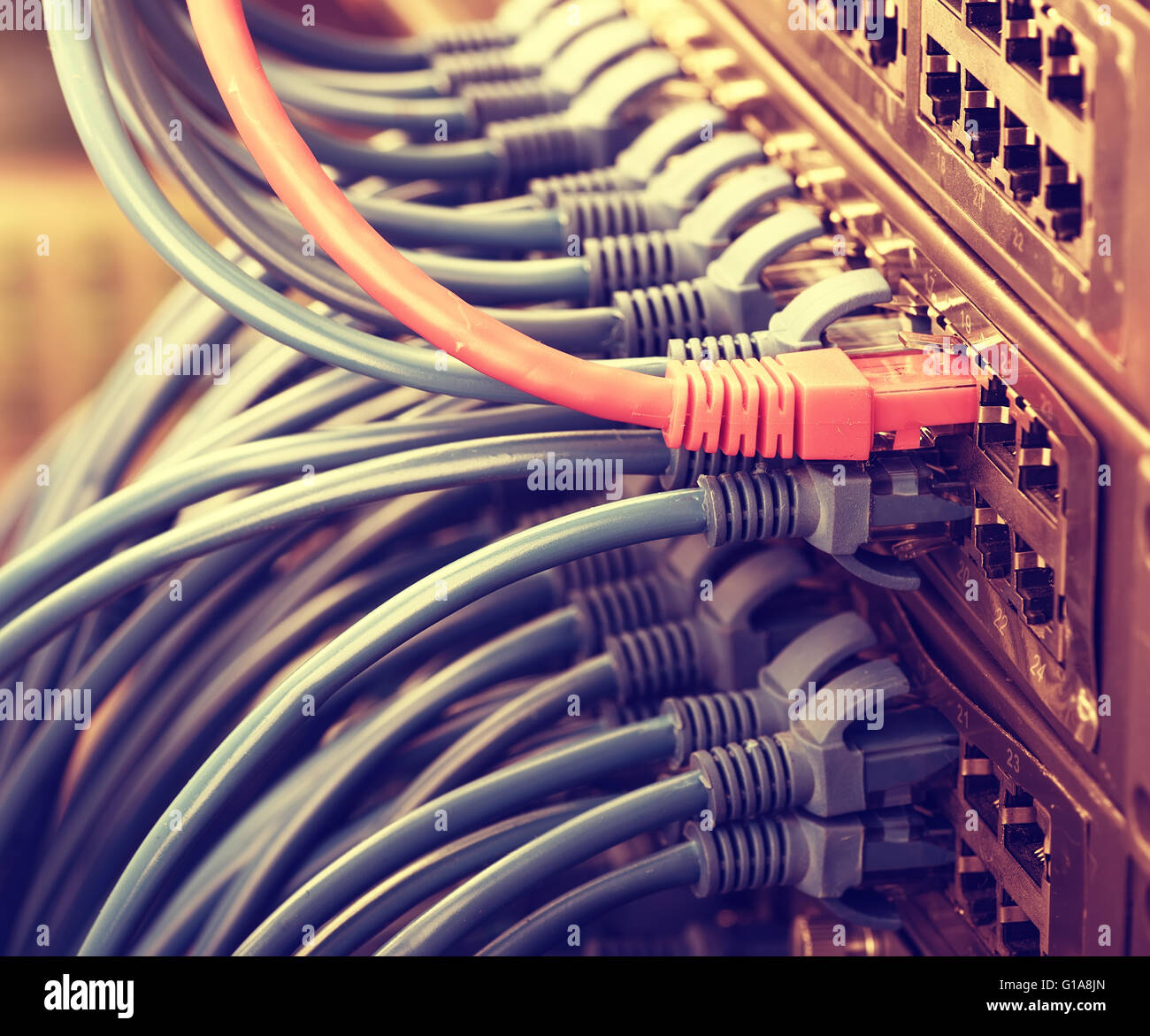 Network switch and ethernet cables,Data Center Concept Stock Photo - Alamy