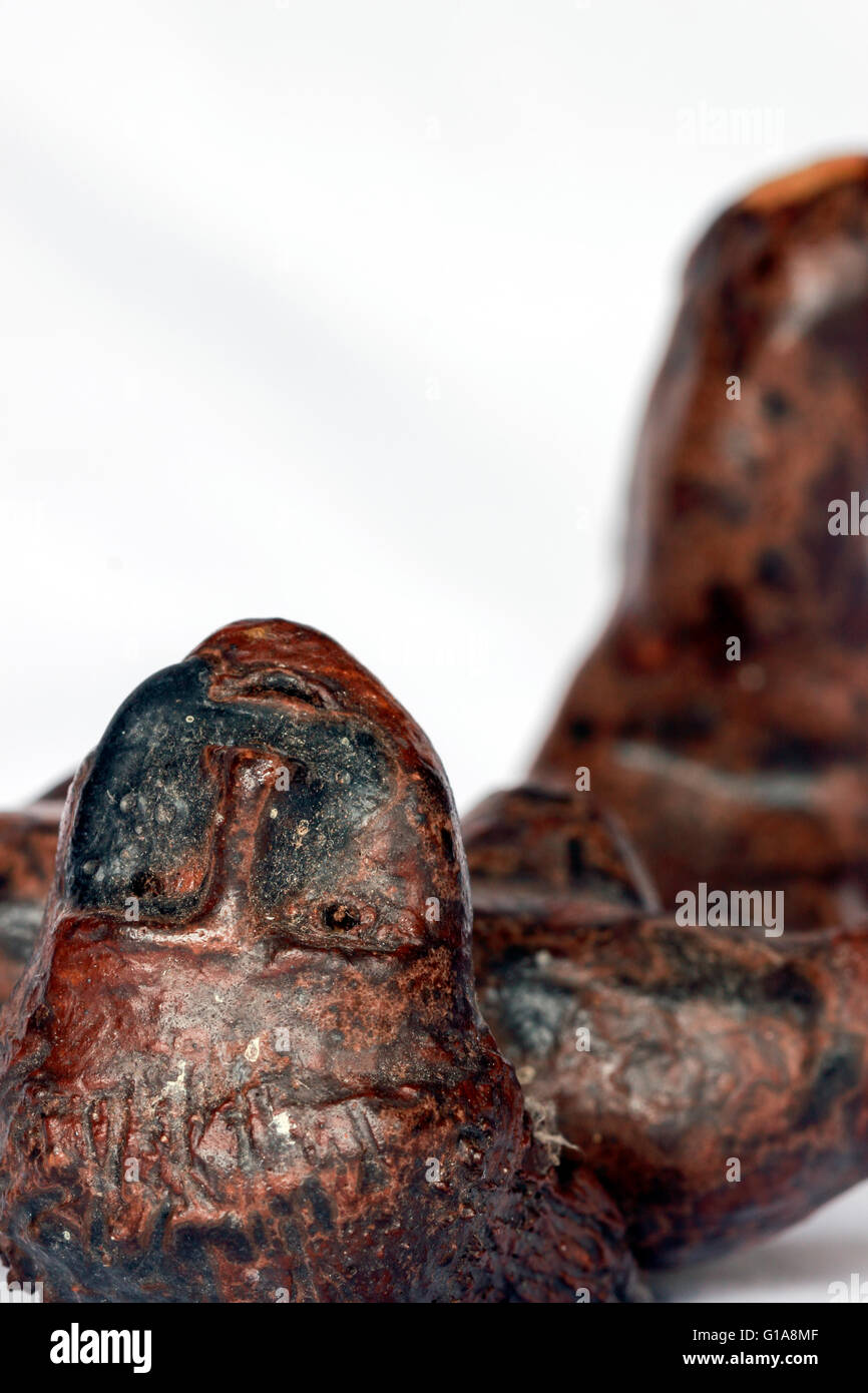 Ceramic figure woman swimming sculpture pottery Stock Photo - Alamy