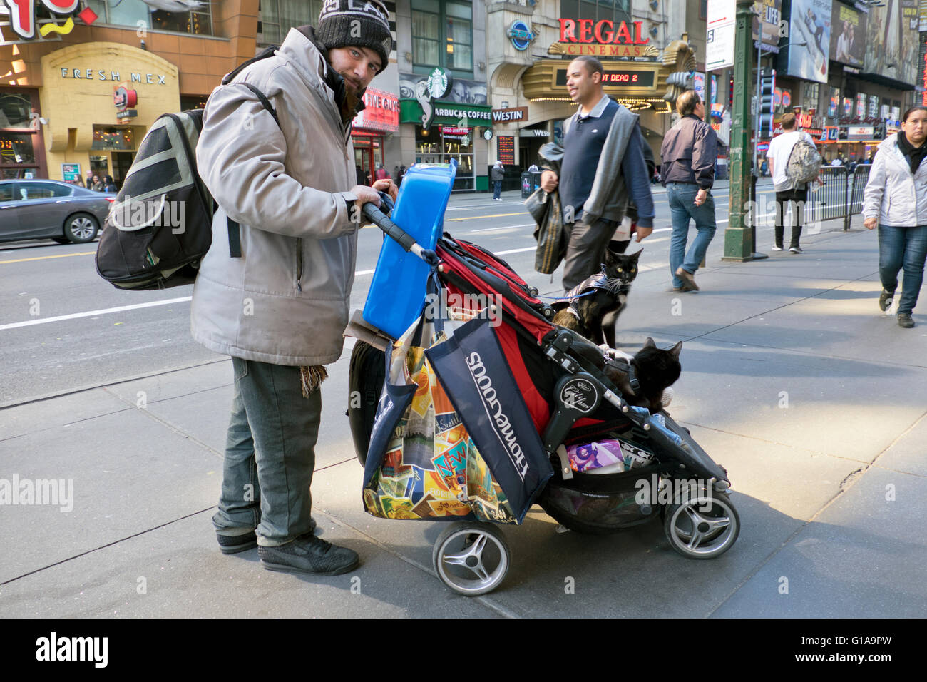 Homeless man living on Manhattan streets with pushchair of cats New ...