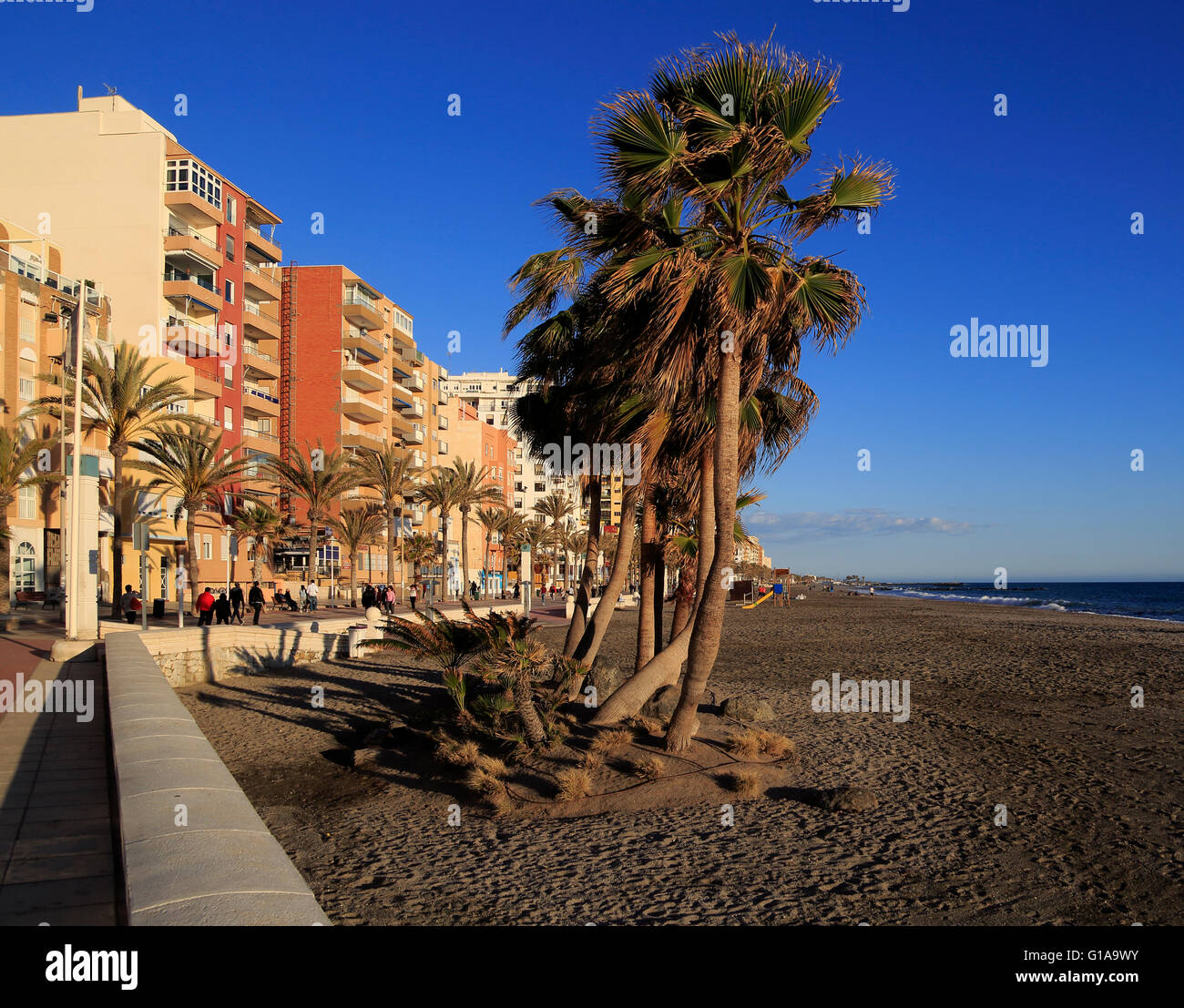 Spanish architecture palm trees hi-res stock photography and images - Alamy