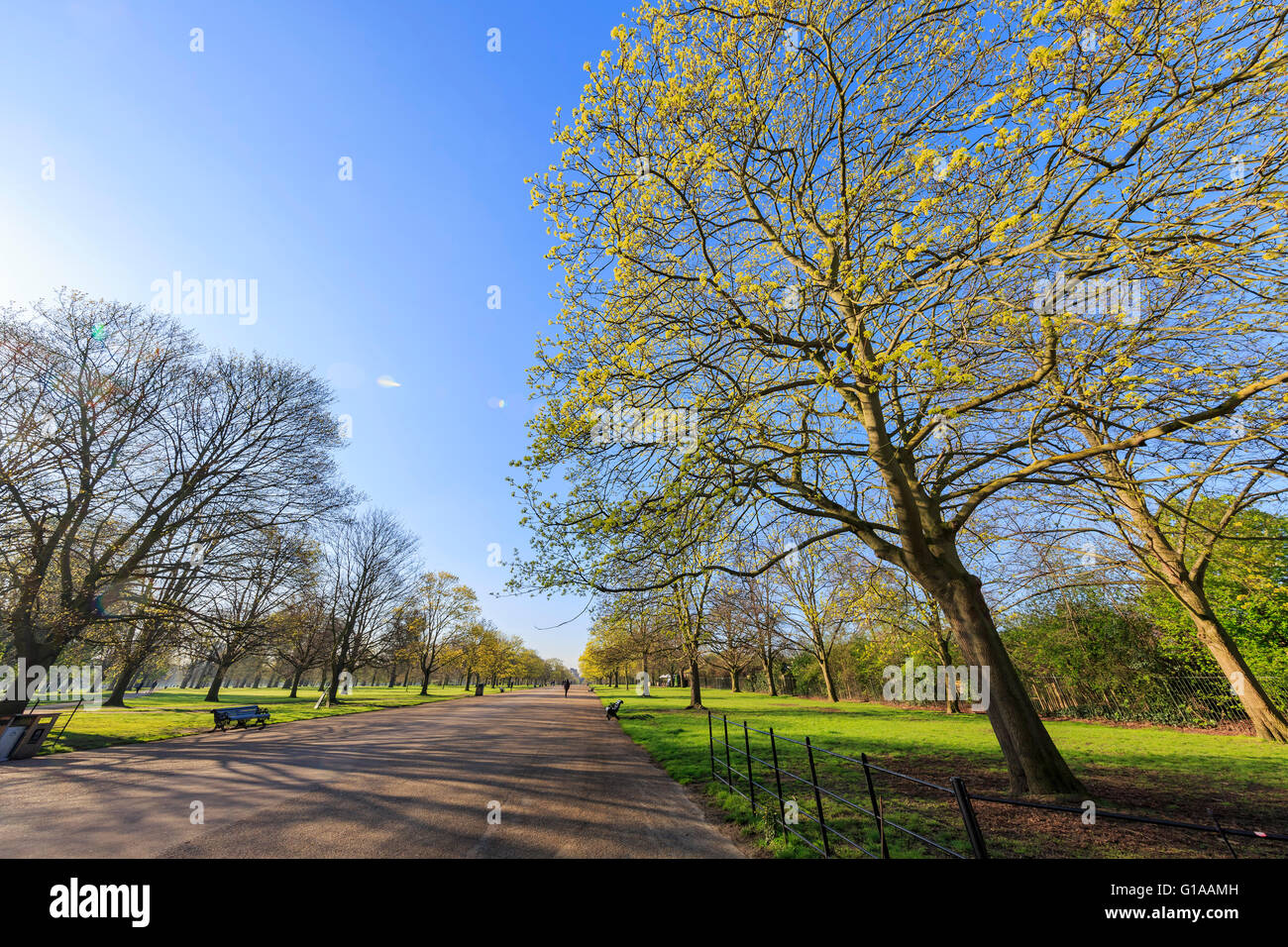 Beautiful landscape around Hyde Park, London, United Kingdom Stock ...