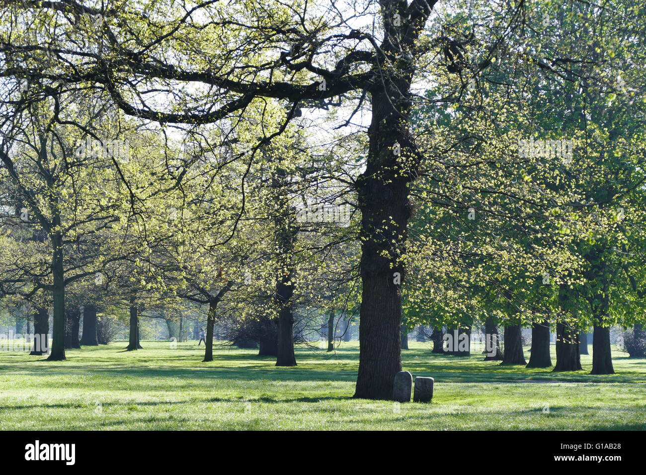 Beautiful landscape around Hyde Park, London, United Kingdom Stock ...