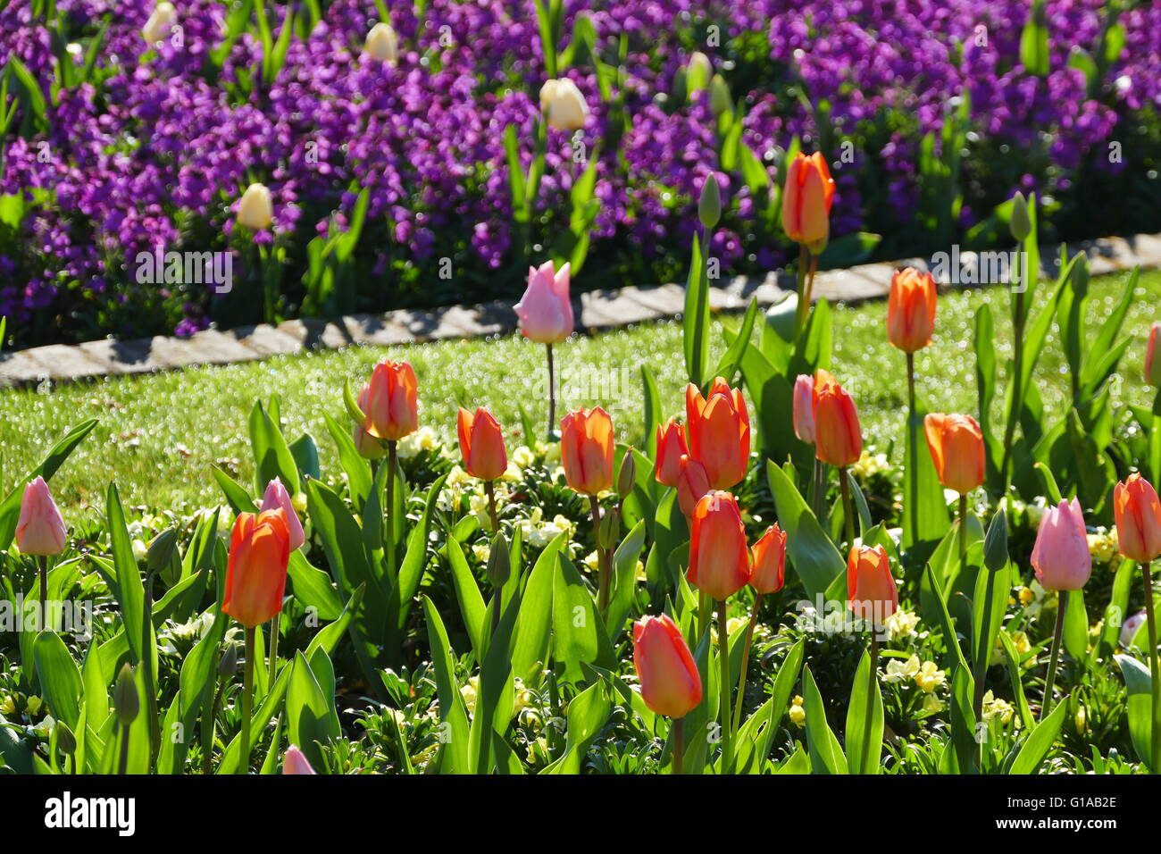 Hyde park london spring flowers hi-res stock photography and images - Alamy