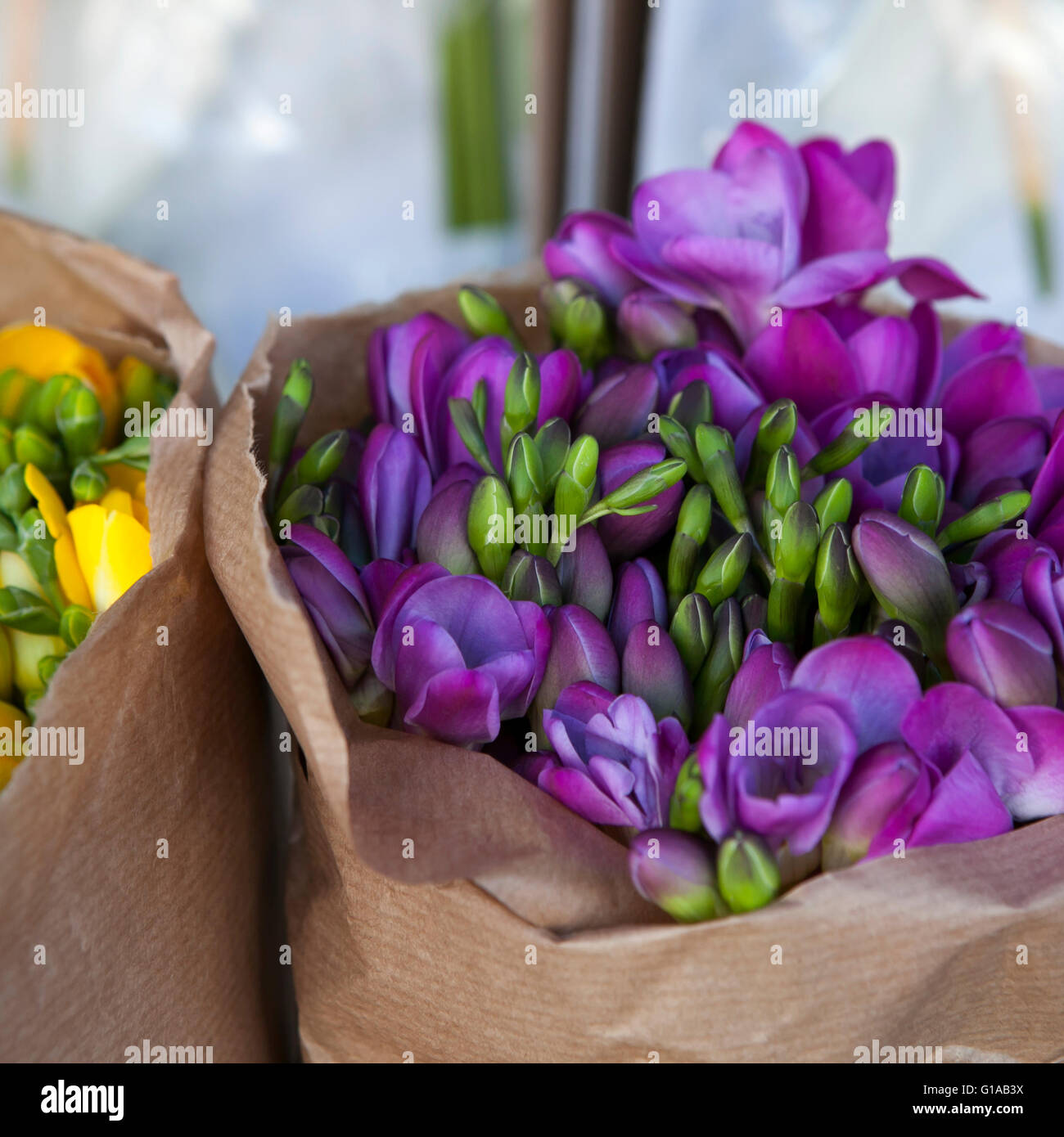 Beautiful freesia flowers bouquet Stock Photo - Alamy