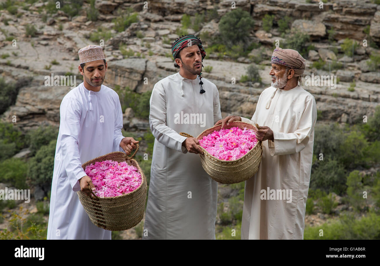 Omani men in traditional clothing showing off basket full of rose ...