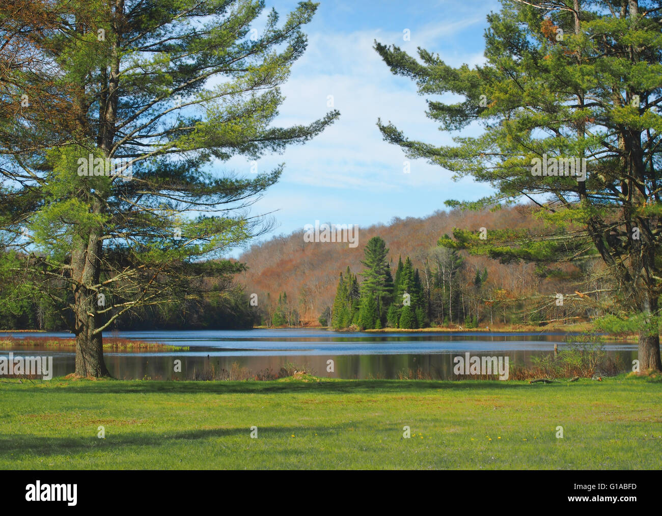 The Moose River, Thendara, New York, in the Adirondack State Park Stock ...