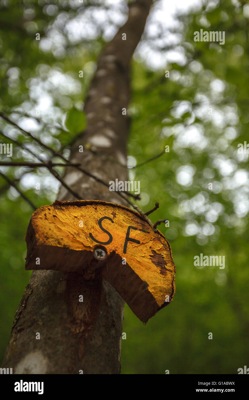 Sf letters hi-res stock photography and images - Alamy
