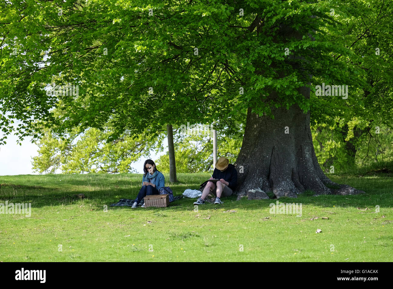 Man sat under tree hi-res stock photography and images - Alamy