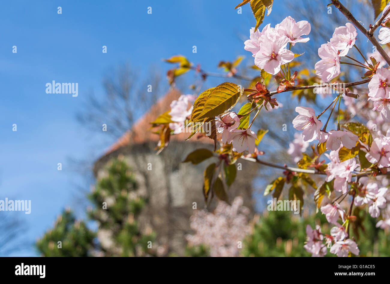 Springtime In Medieval Town Stock Photo - Alamy
