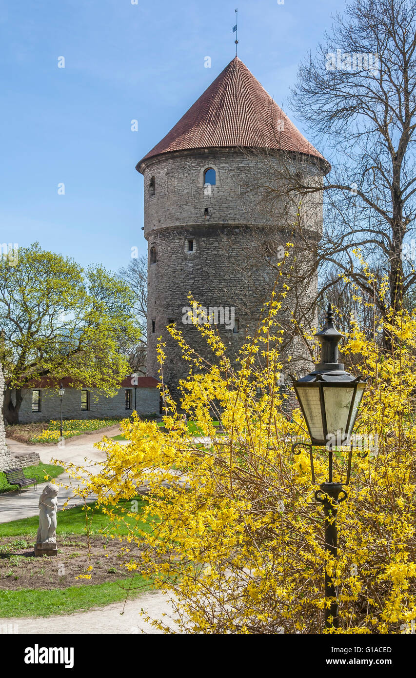 Spring In The Medieval Town Stock Photo - Alamy