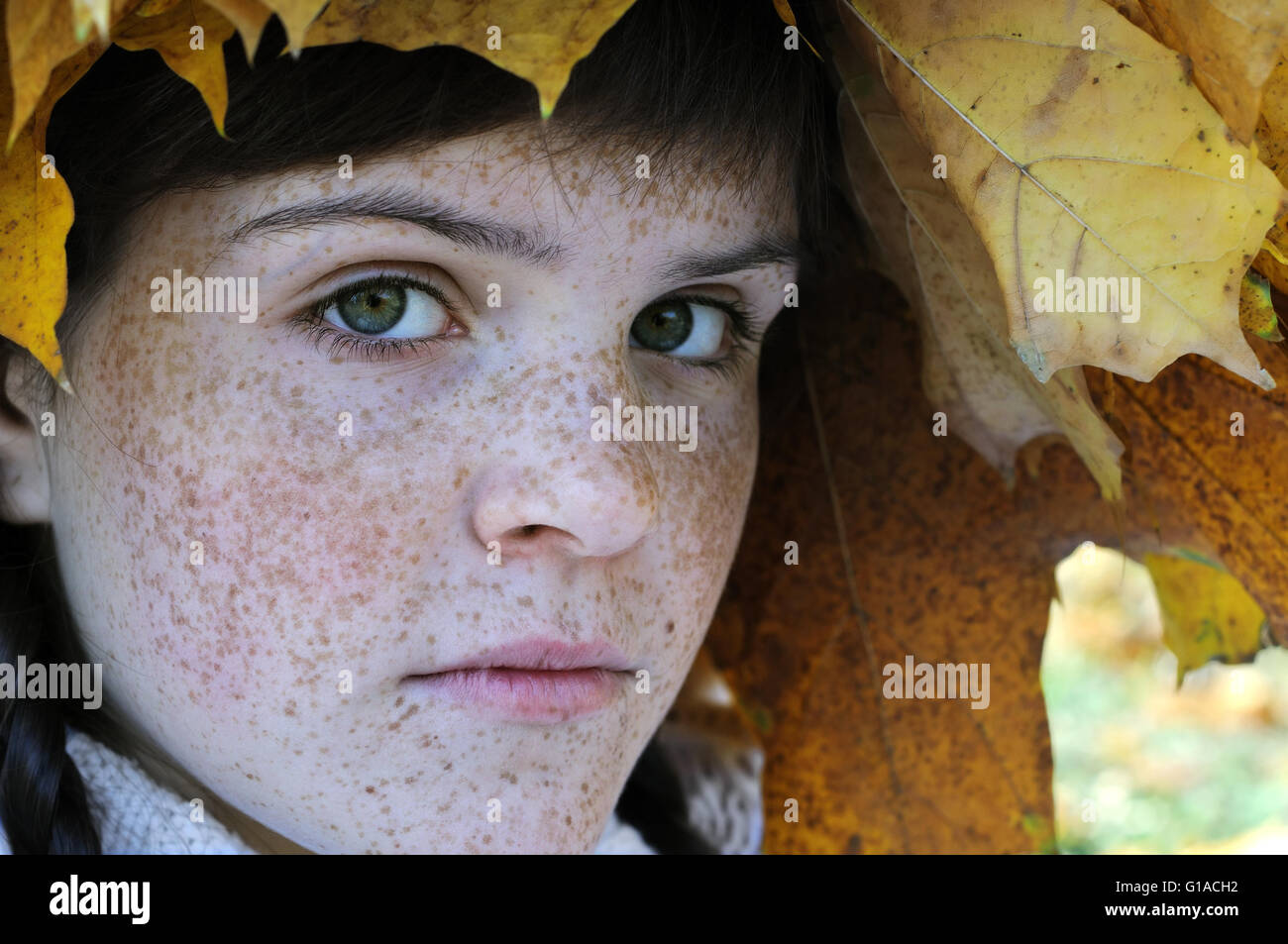 Freckled Face High Resolution Stock Photography and Images - Alamy