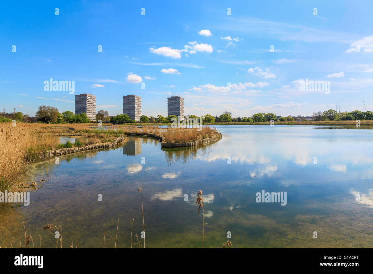 Woodberry wetland nature reserve High Resolution Stock Photography and ...