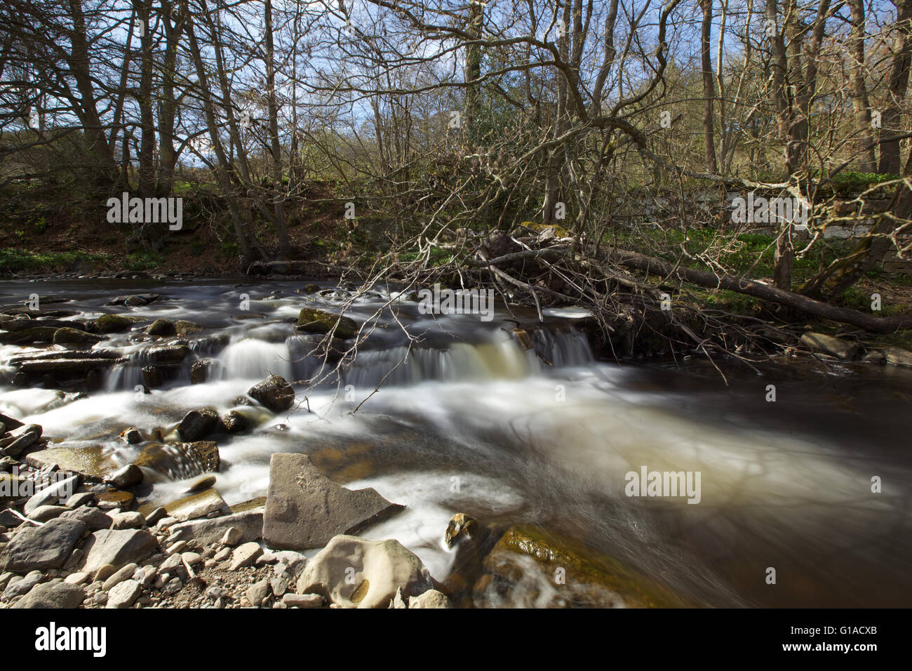 Stream in the woods with waterfalls Stock Photo - Alamy