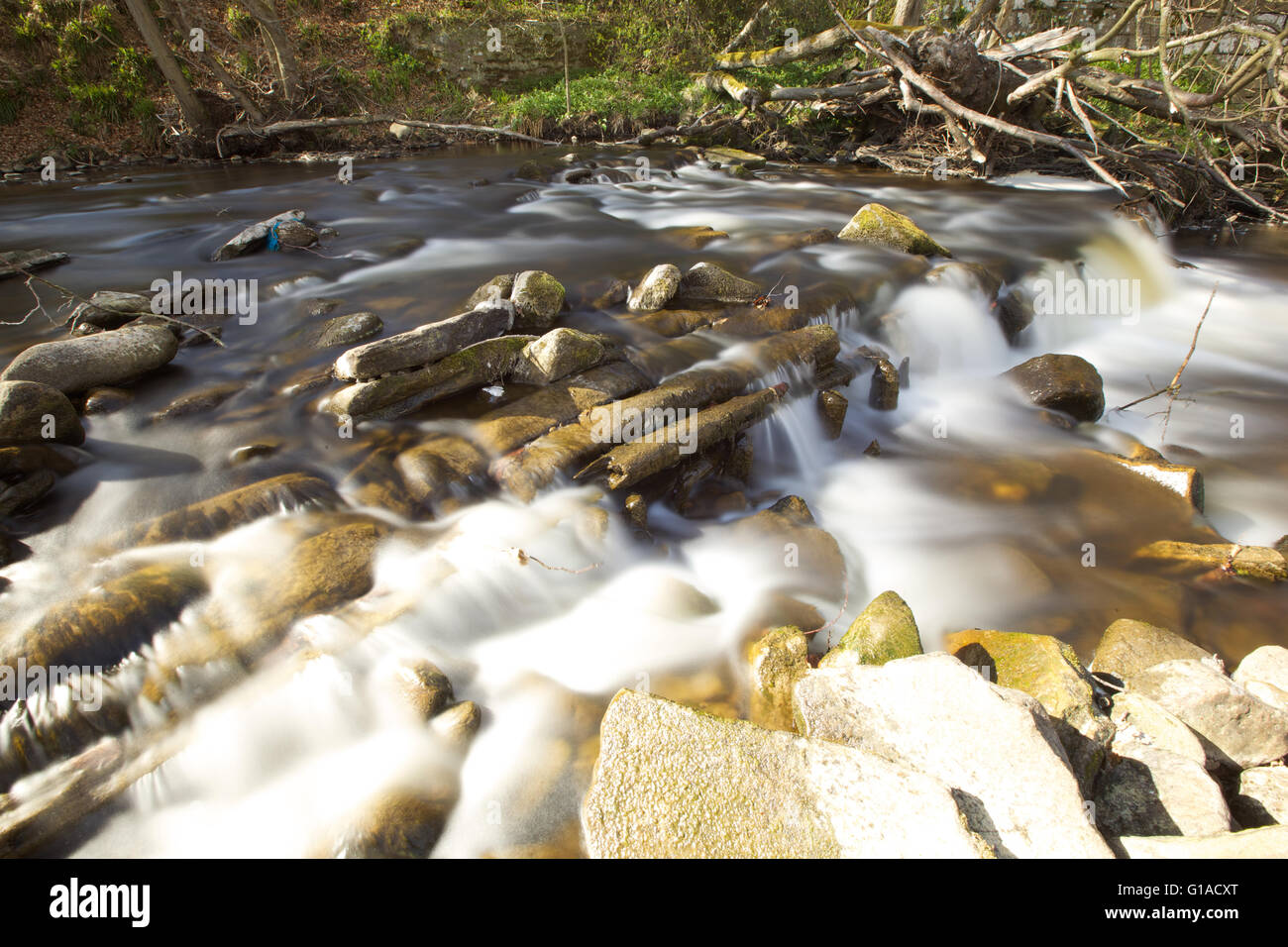 Stream in the woods with waterfalls Stock Photo - Alamy