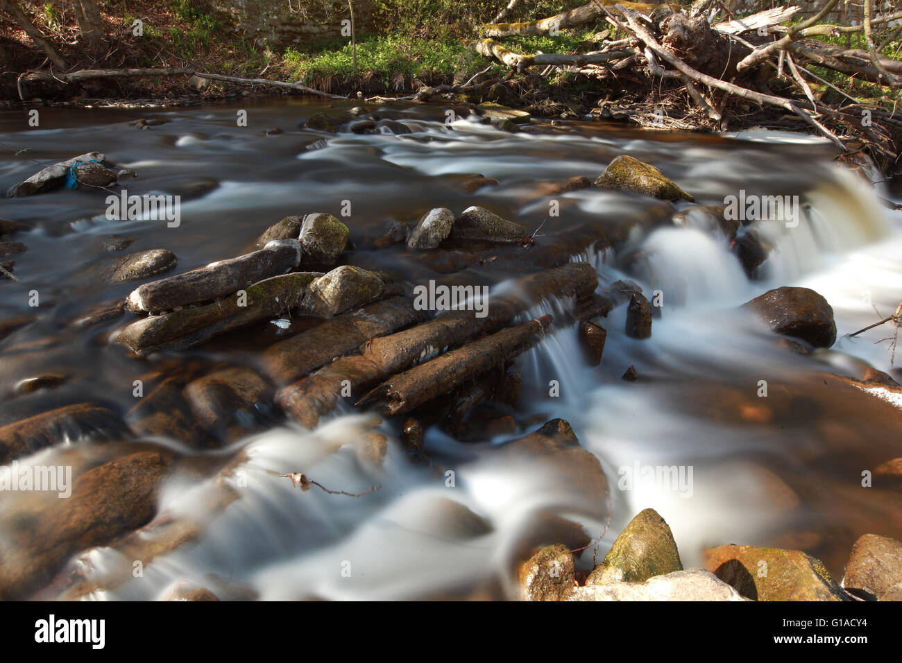 Stream in the woods with waterfalls Stock Photo - Alamy