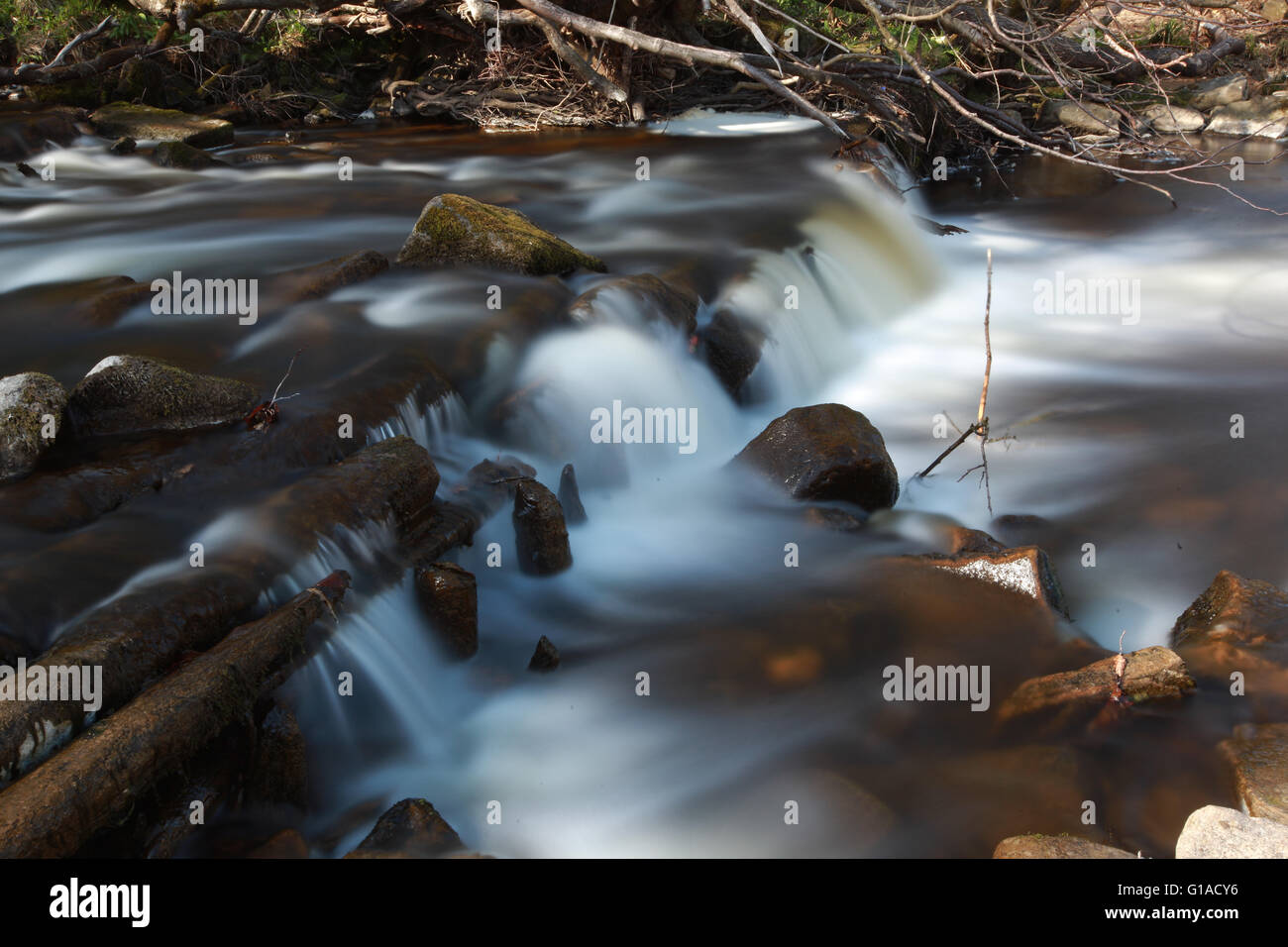 Stream in the woods with waterfalls Stock Photo - Alamy