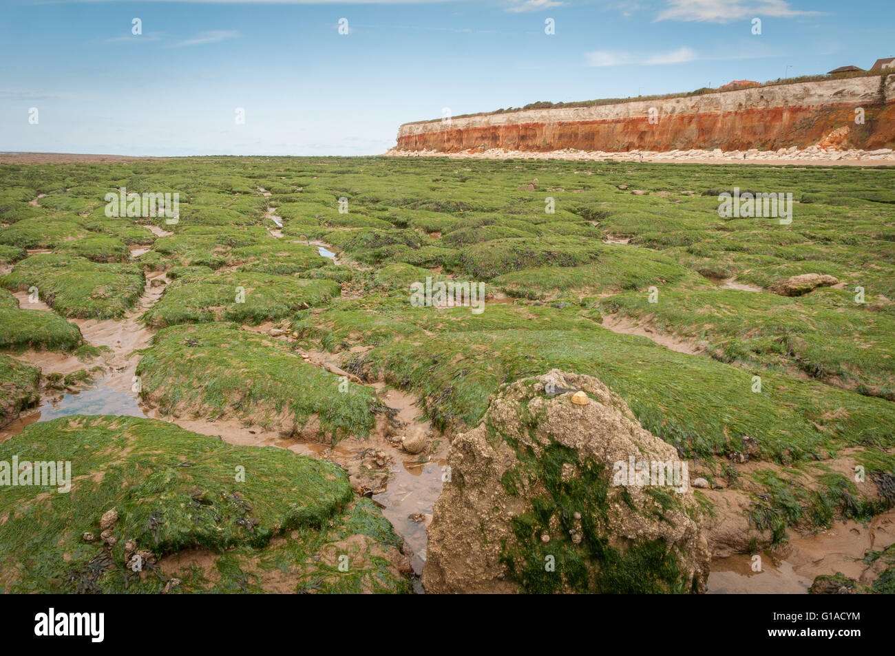 Seaweed covered rocks on the beach at Old Hunstanton under the ...