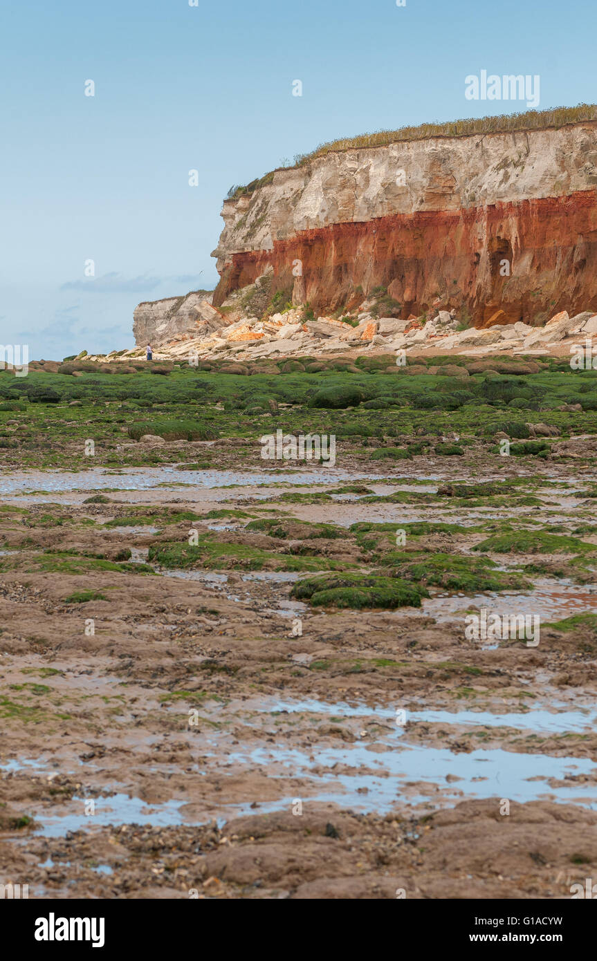 Seaweed covered rocks on the beach at Old Hunstanton under the ...