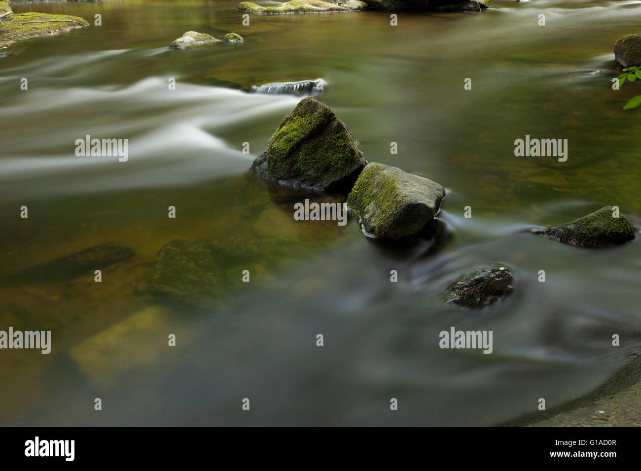 Stream in the woods with waterfalls Stock Photo - Alamy