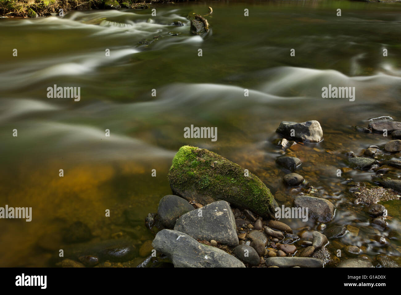 Stream in the woods with waterfalls Stock Photo - Alamy