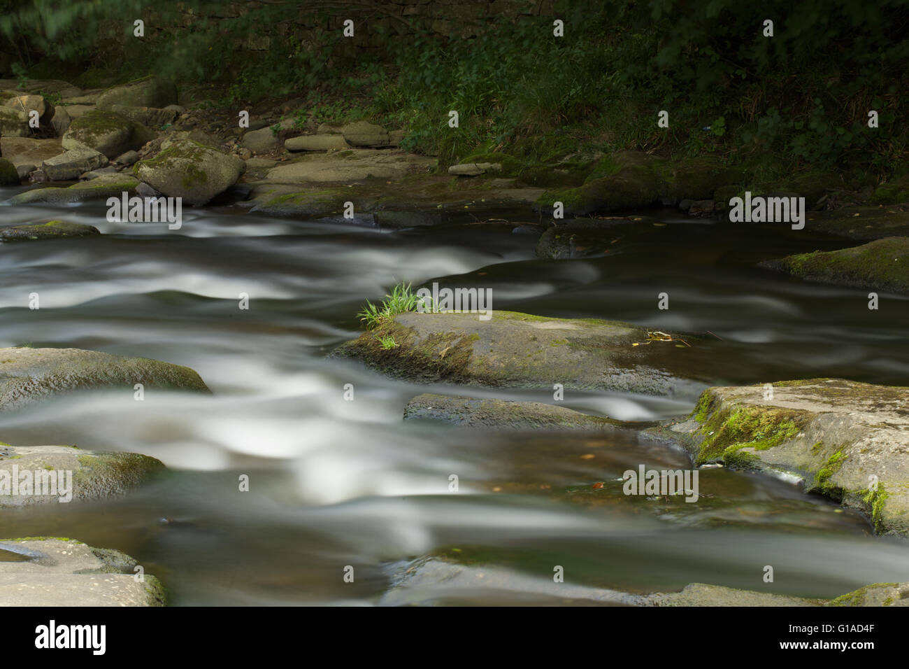 Stream in the woods with waterfalls Stock Photo - Alamy