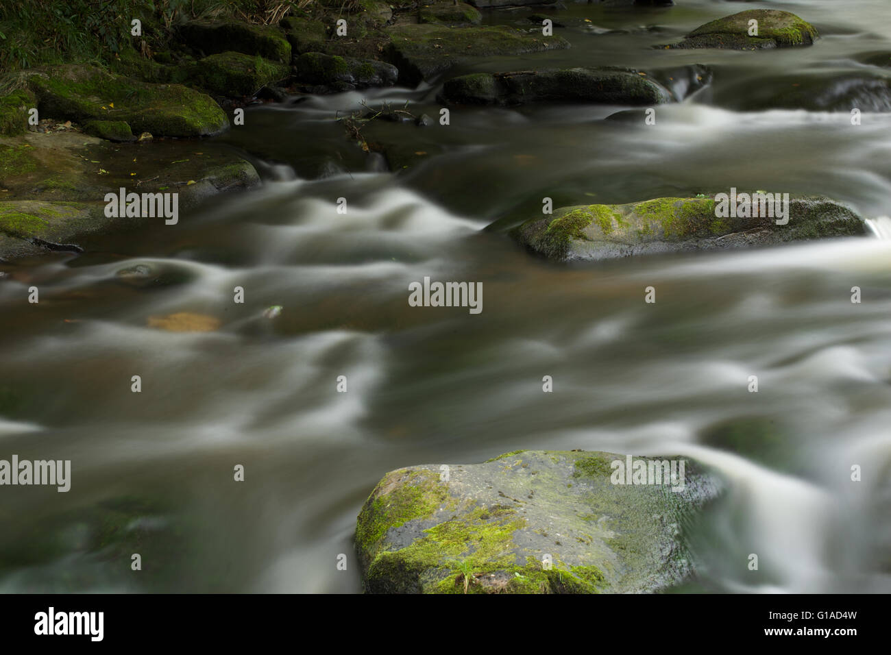 Mountain stream close up slow hi-res stock photography and images - Alamy