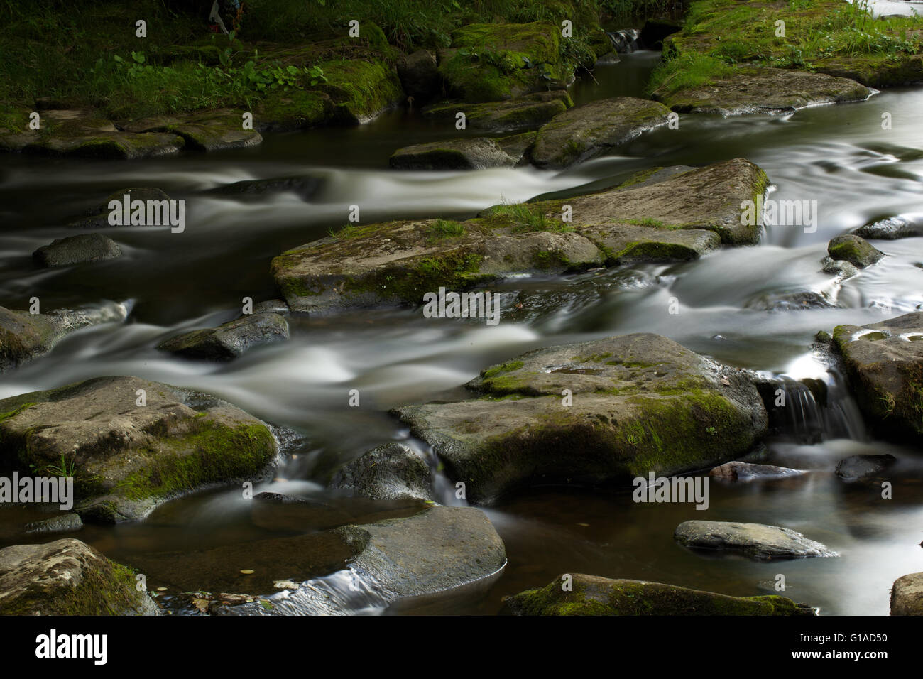 Stream in the woods with waterfalls Stock Photo - Alamy