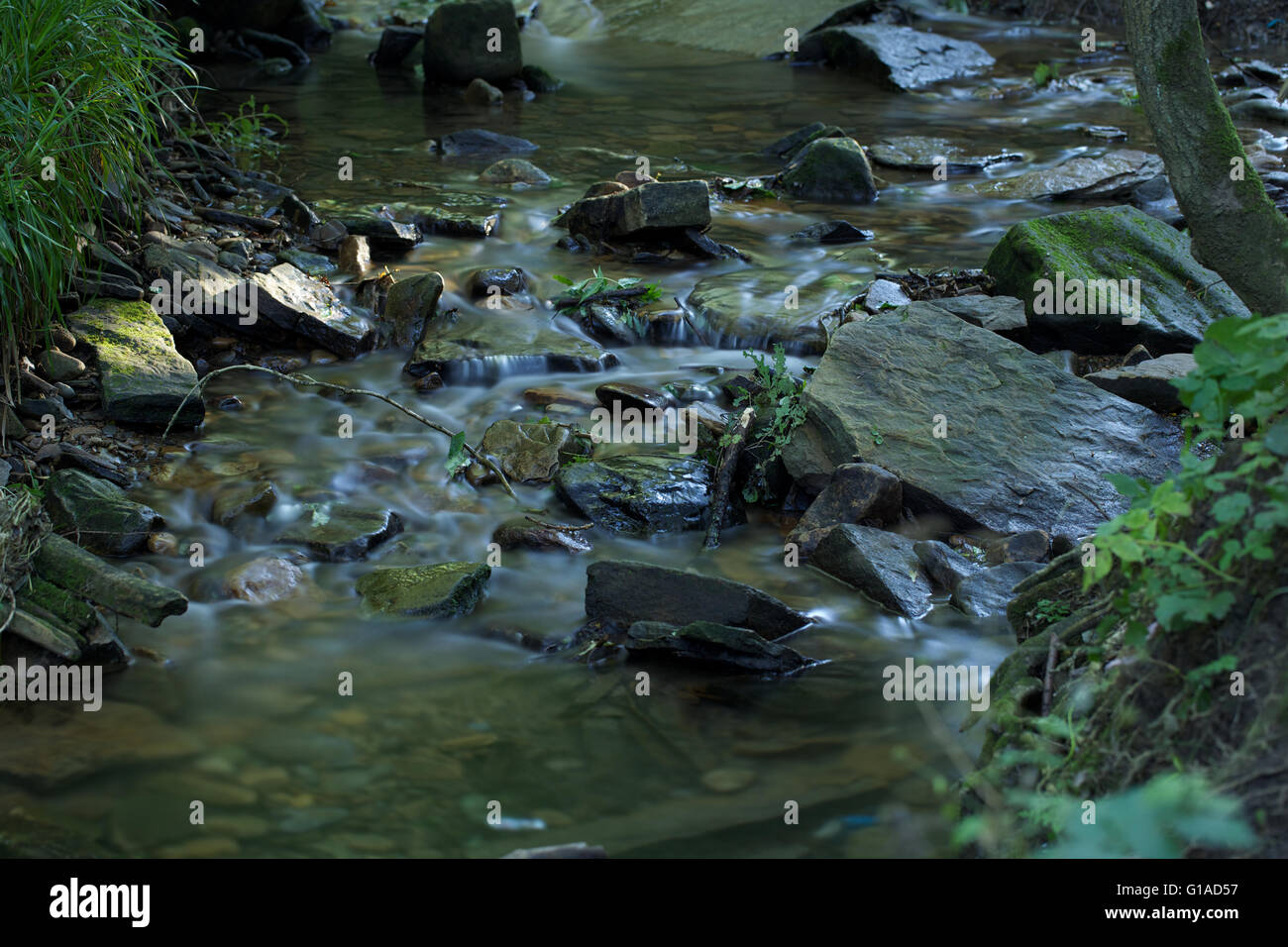 Stream in the woods with waterfalls Stock Photo - Alamy