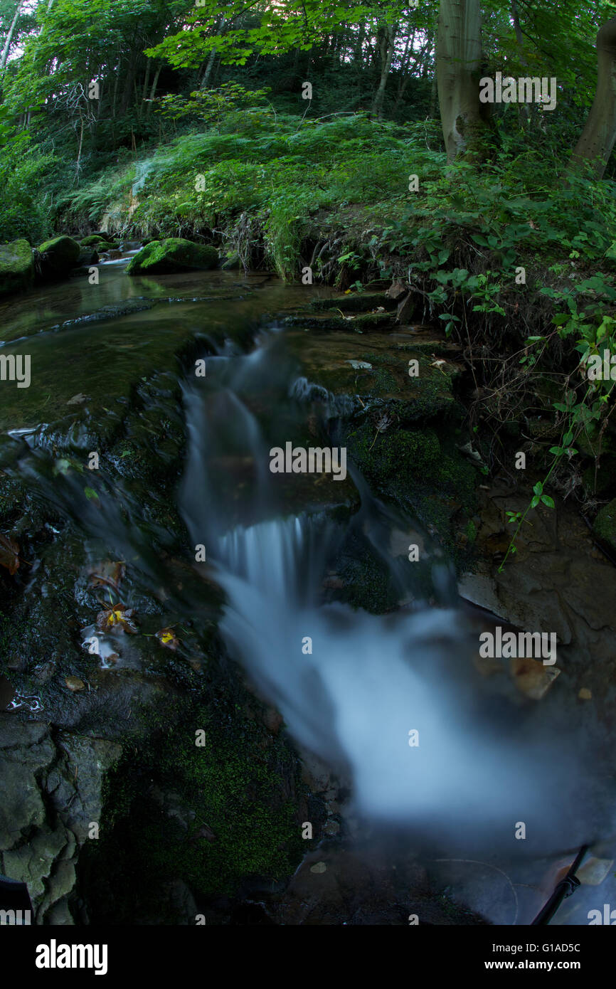 Stream in the woods with waterfalls Stock Photo - Alamy